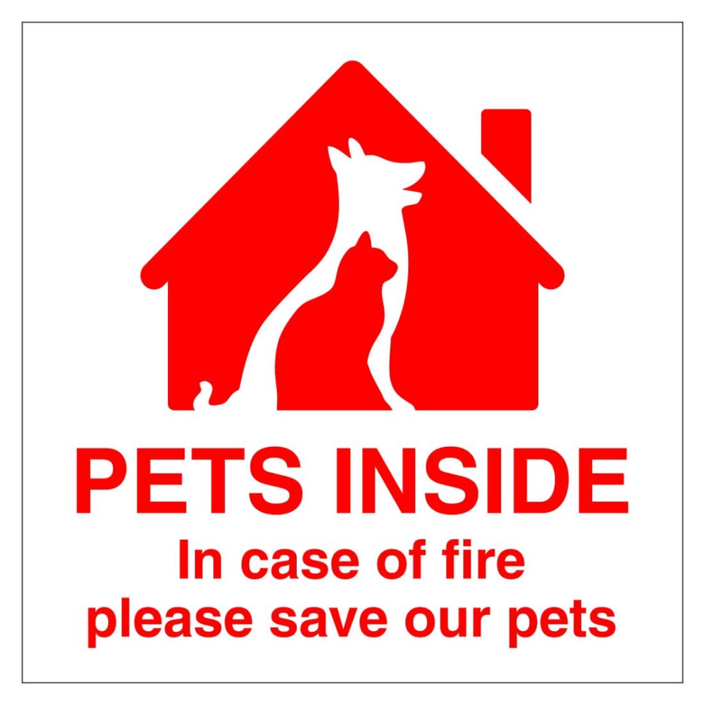 Protecting Your Pets: 5 Vital Fire Safety Measures Every Pet Owner Must ...